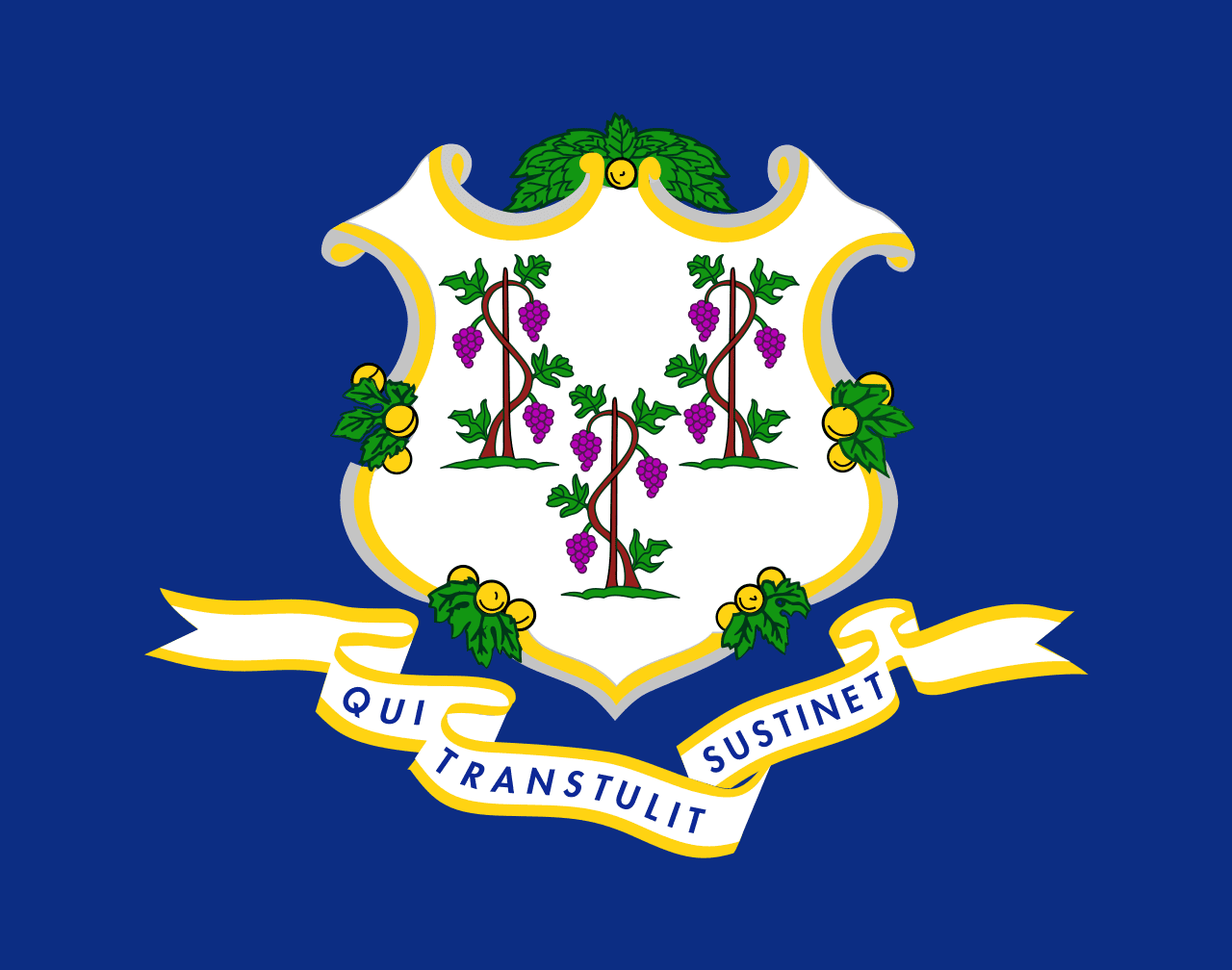 Flag History of Connecticut | Flags for Patriots