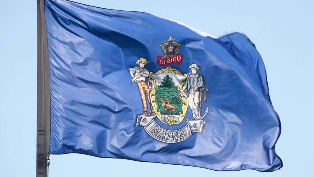 Curious About The Pine Tree On Maine's Flag?