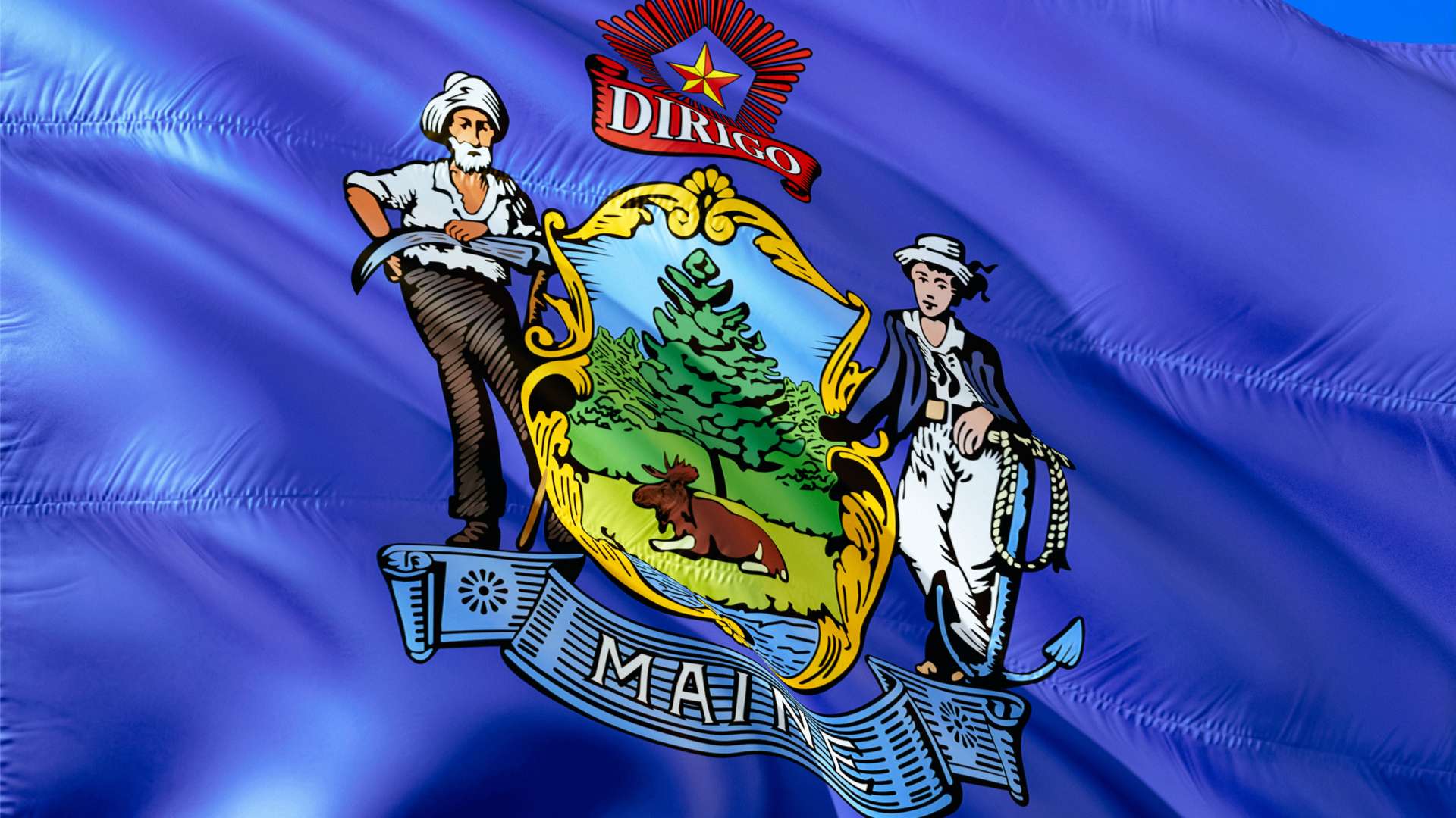 Curious About The Pine Tree On Maine's Flag?